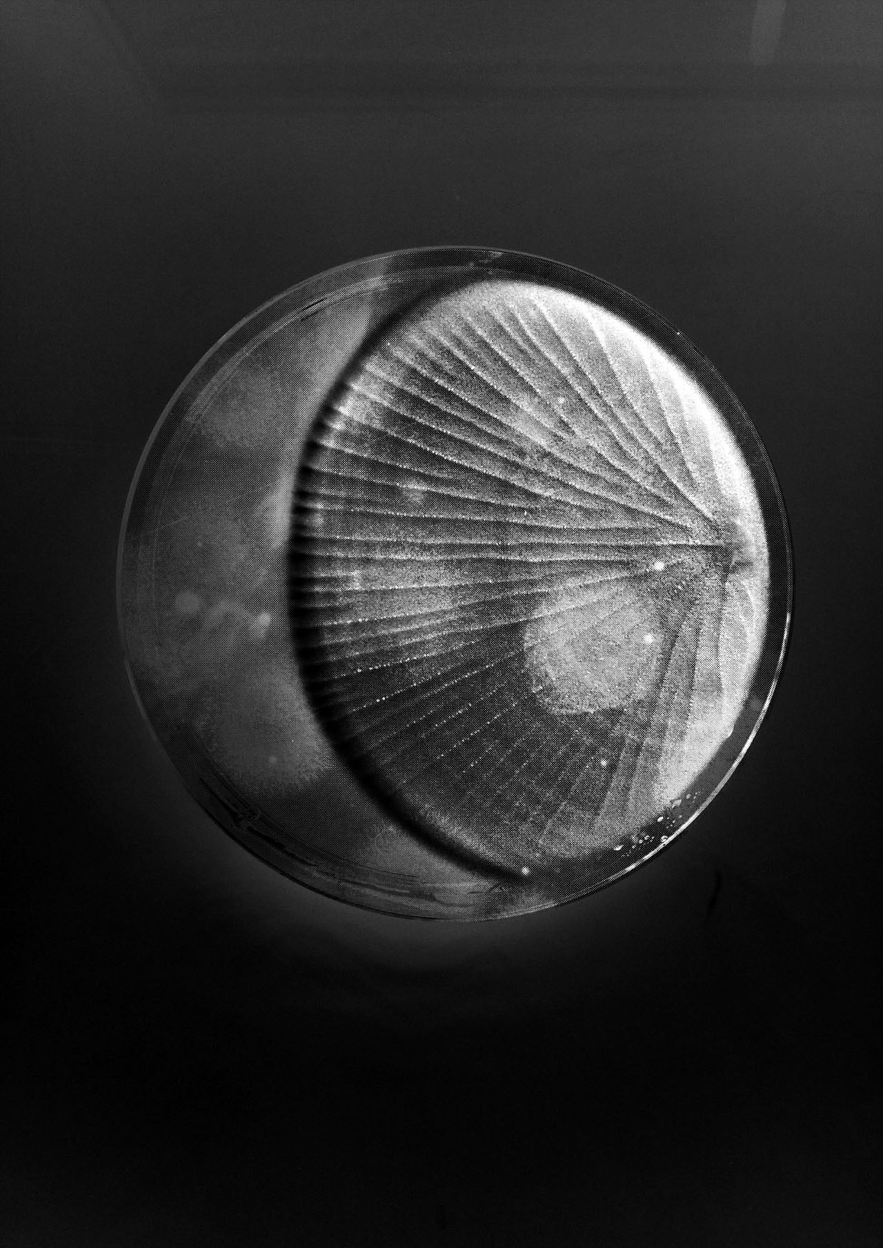 MEMORY ROOM – Überlegungen zum kollektiven Gedächtnis, der Mnemosyne ...