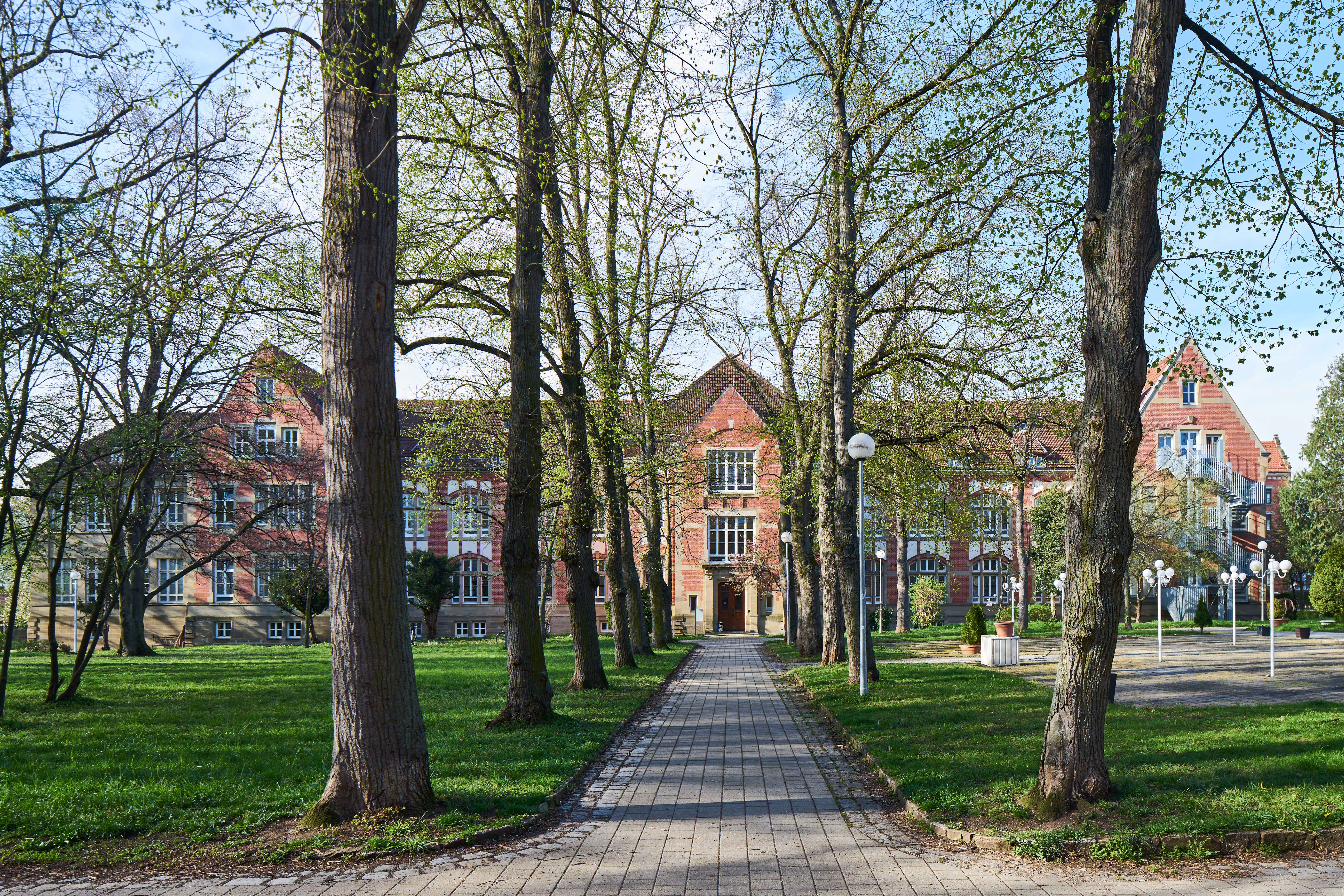 Stipendiat/innen des Sommersemesters 2020 – Merz Akademie